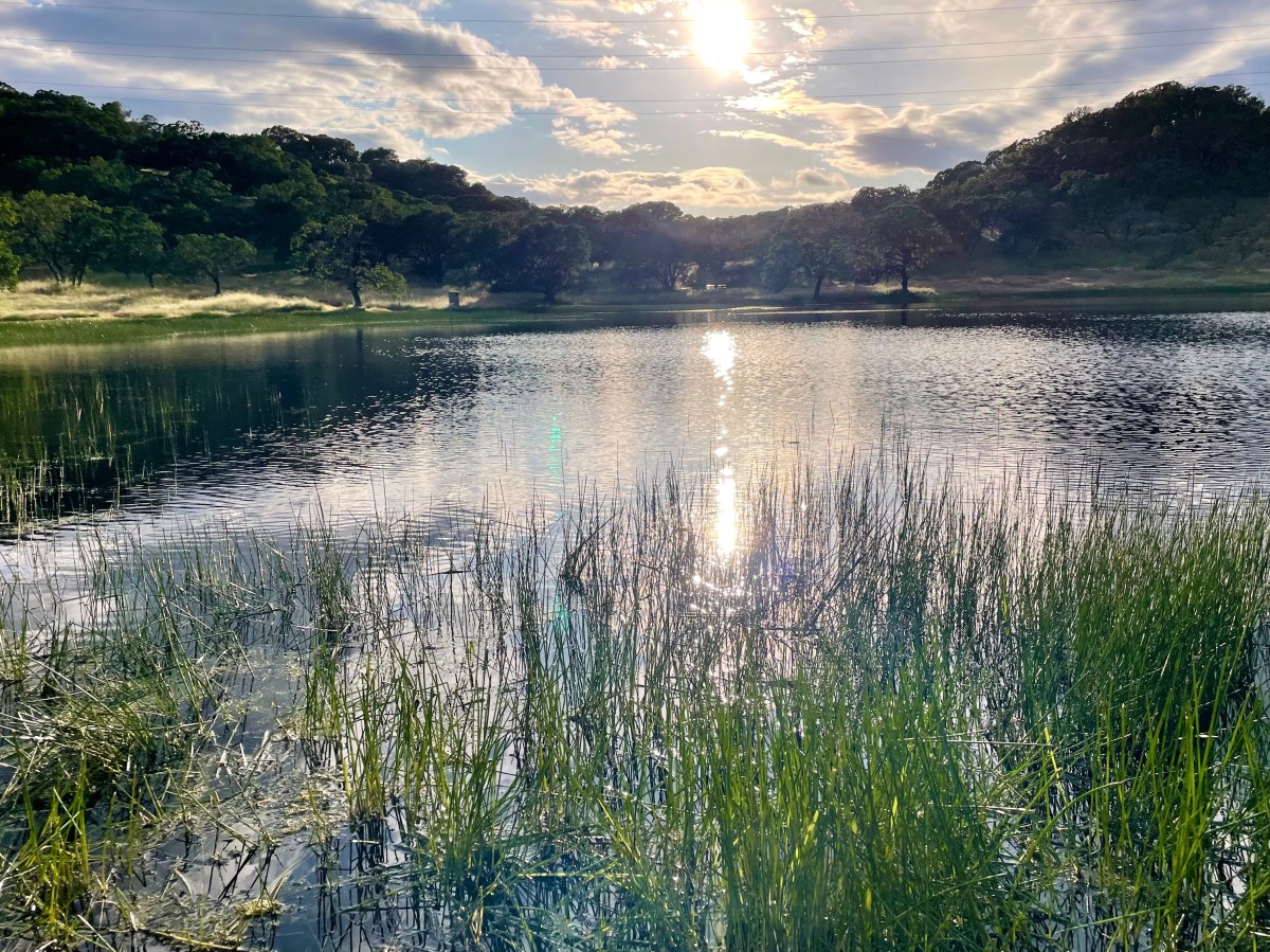 The light that casts no shadows – The Every Day Yogi